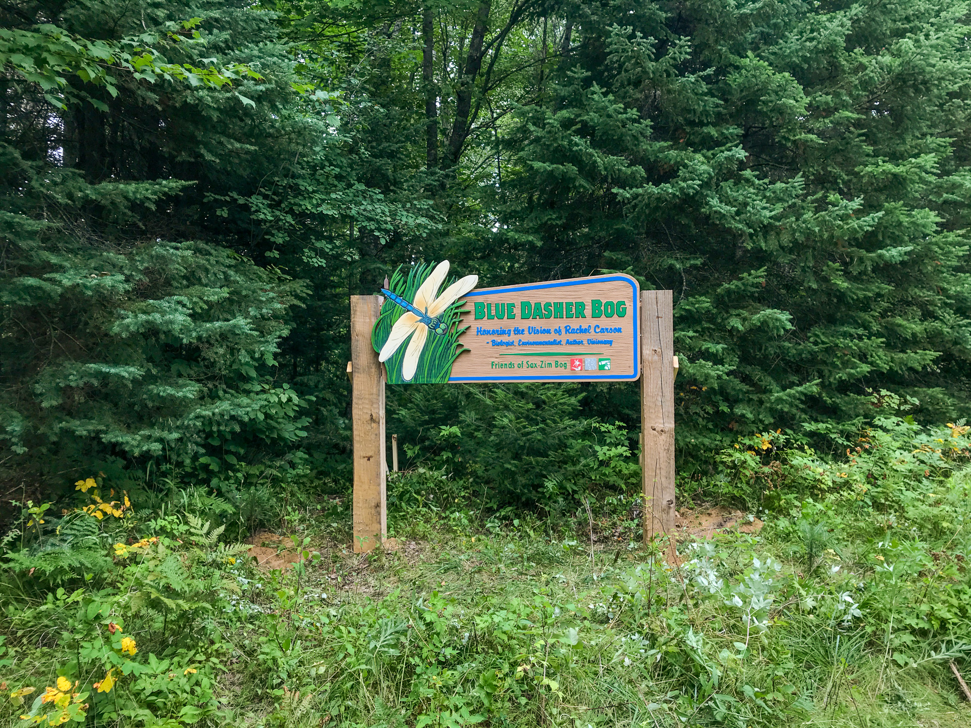 Blue Dasher Bog Trail : Friends of Sax-Zim Bog