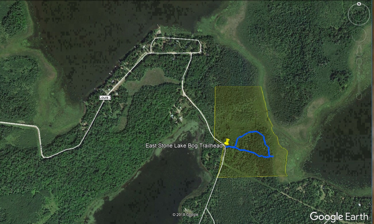 Blue Dasher Bog Trail : Friends of Sax-Zim Bog