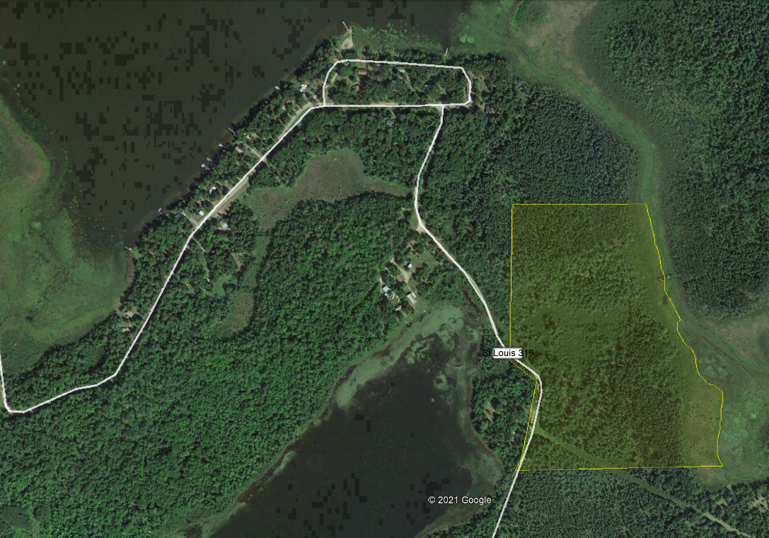 Blue Dasher Bog : Friends of Sax-Zim Bog