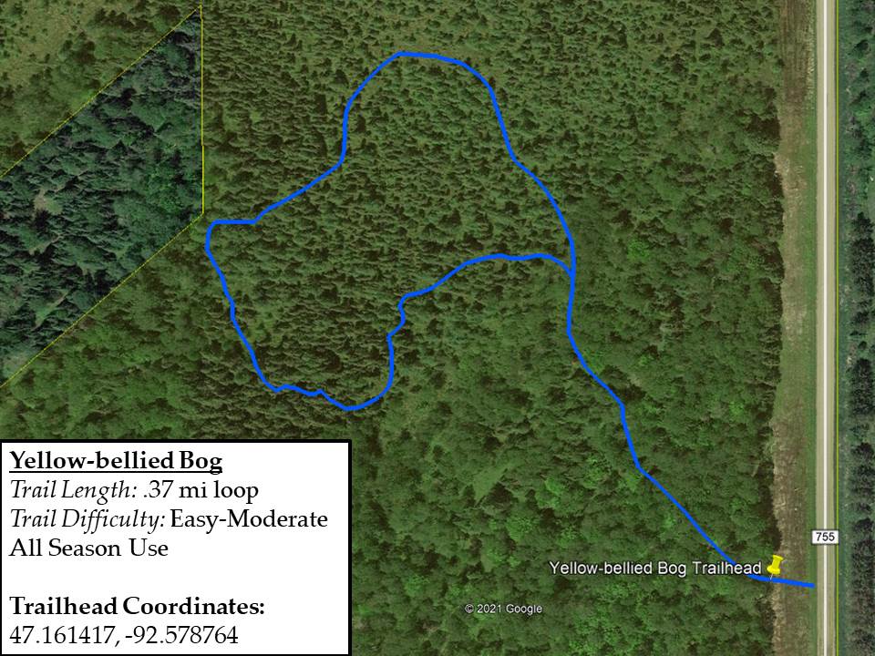 Yellow-bellied Bog Trail : Friends of Sax-Zim Bog